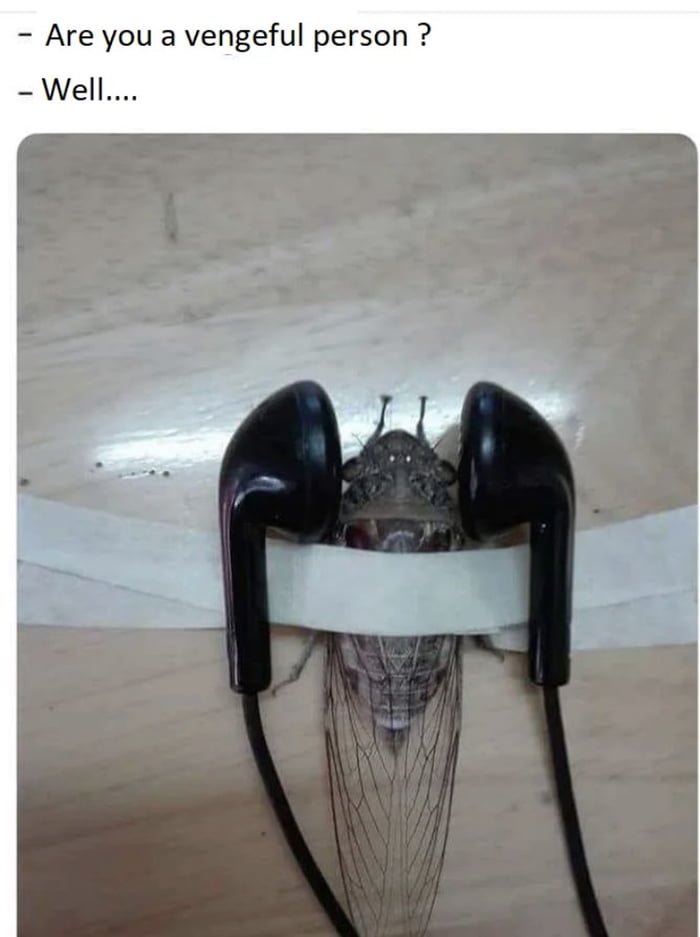 I’m the bad fly - 9GAG