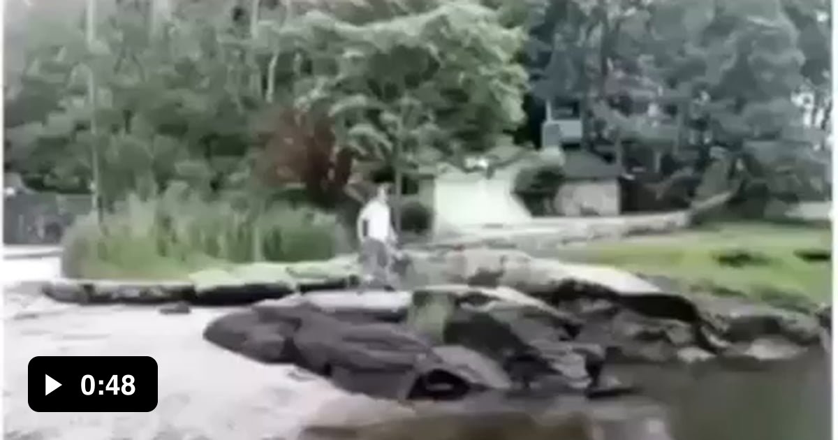 Always cracks me up. -> Don't talk to strangers- Max Forrest's - 9GAG