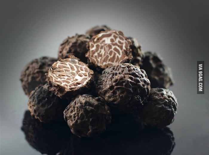 (Chocolate) Truffles Marbled with Candy Cap Mushroom Ganache - 9GAG