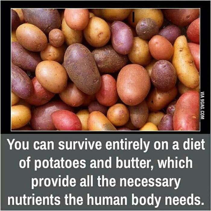 Potatoes for life - 9GAG