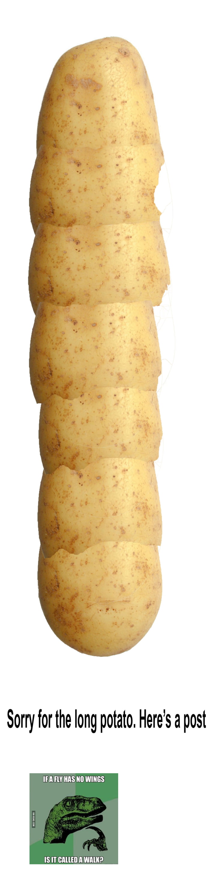 A long terribly photoshopped potato - 9GAG