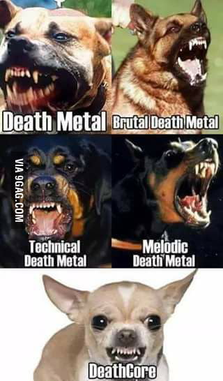 Metal Dogs - 9GAG