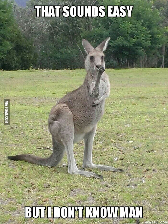 Sceptic skippy new meme - 9GAG
