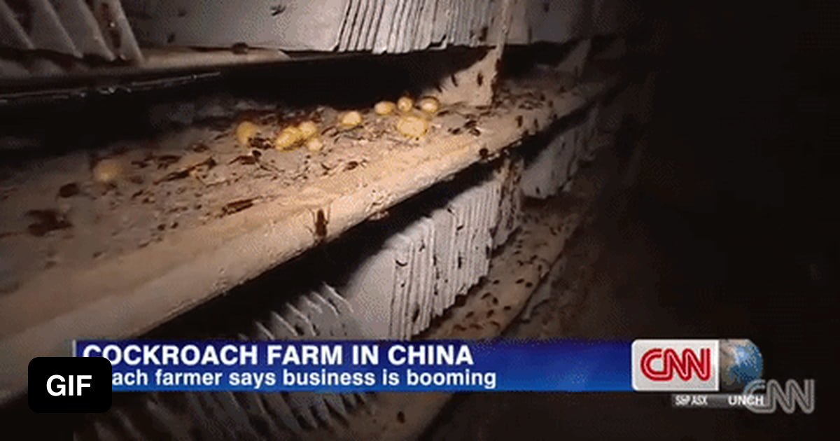 Nope Nope Farm - 9GAG