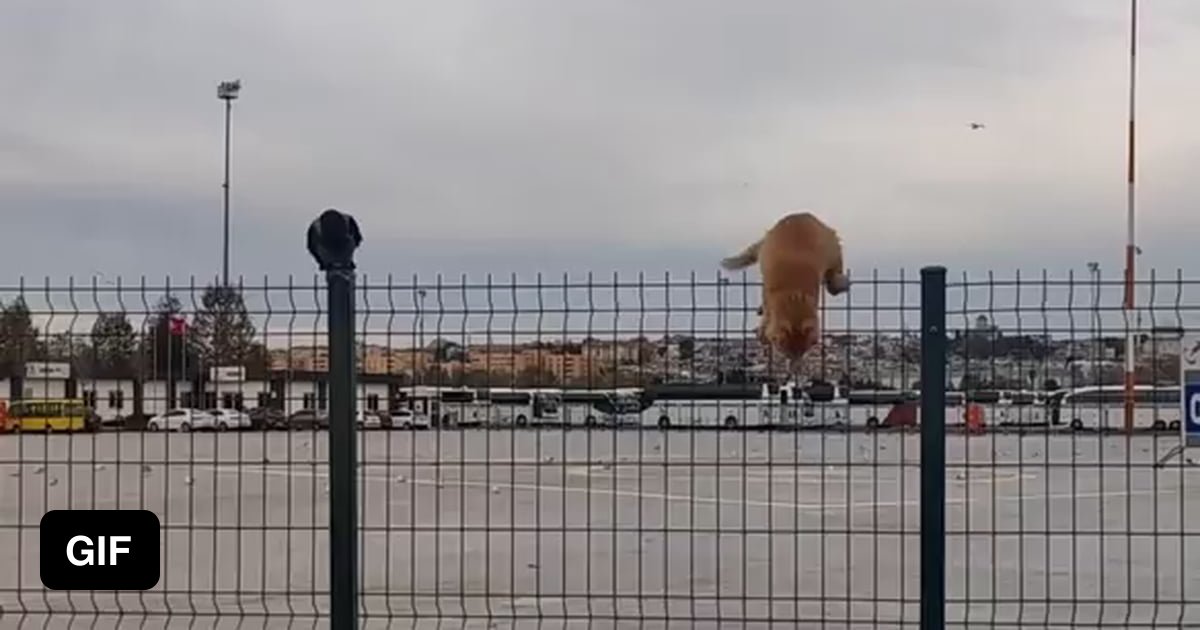 Just go already! - 9GAG