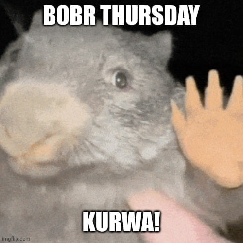 Its bobr day Kurwa! - 9GAG