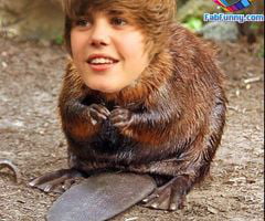 Justin kurwa bober - 9GAG