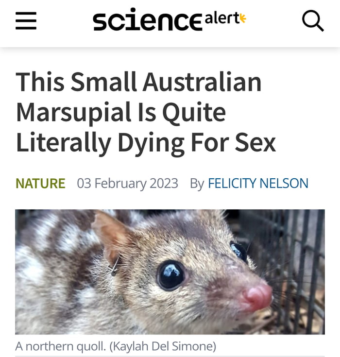 Me too broh... me too... - 9GAG