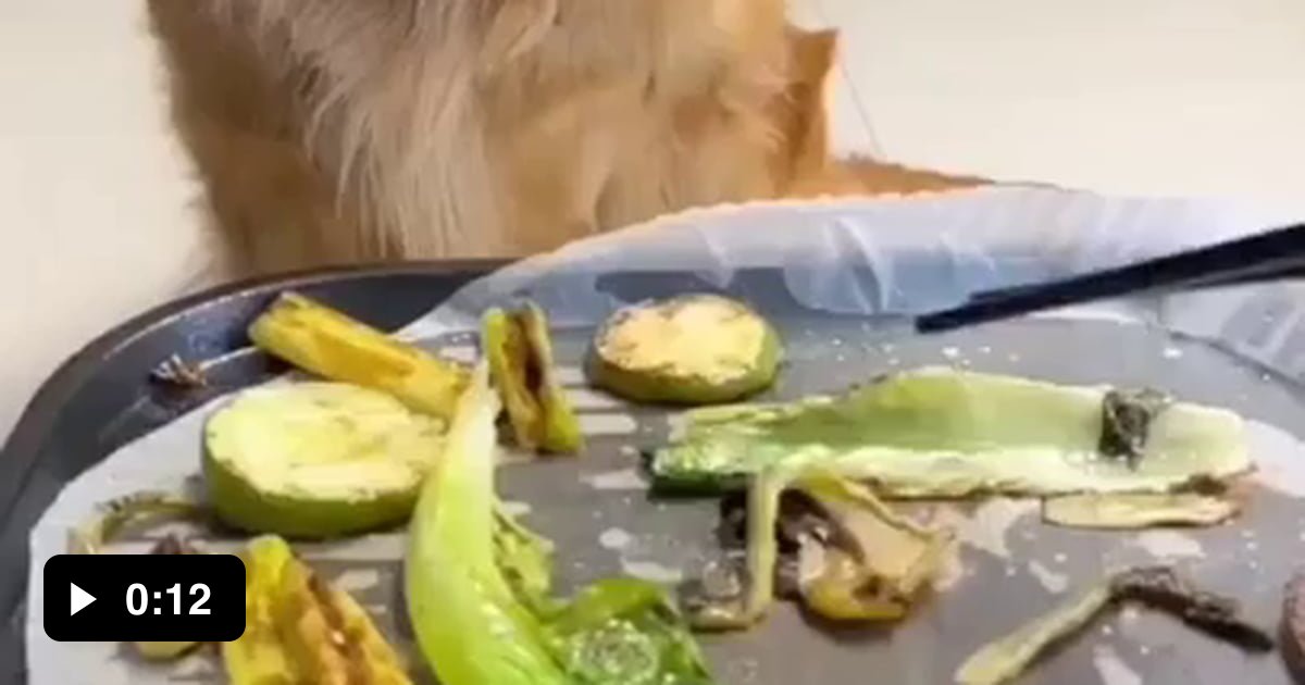 He's not wrong though - 9GAG