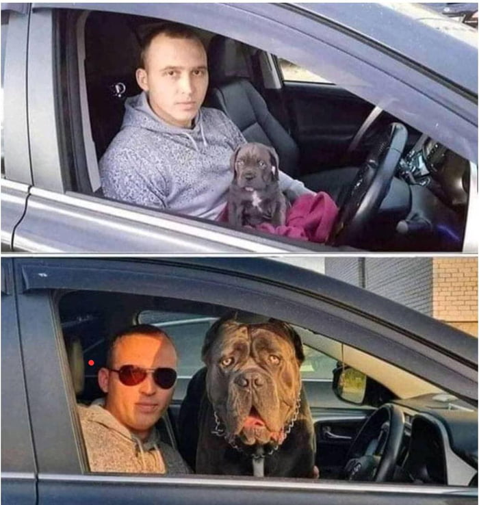 Tiny boy turns into absolute unit - 9GAG