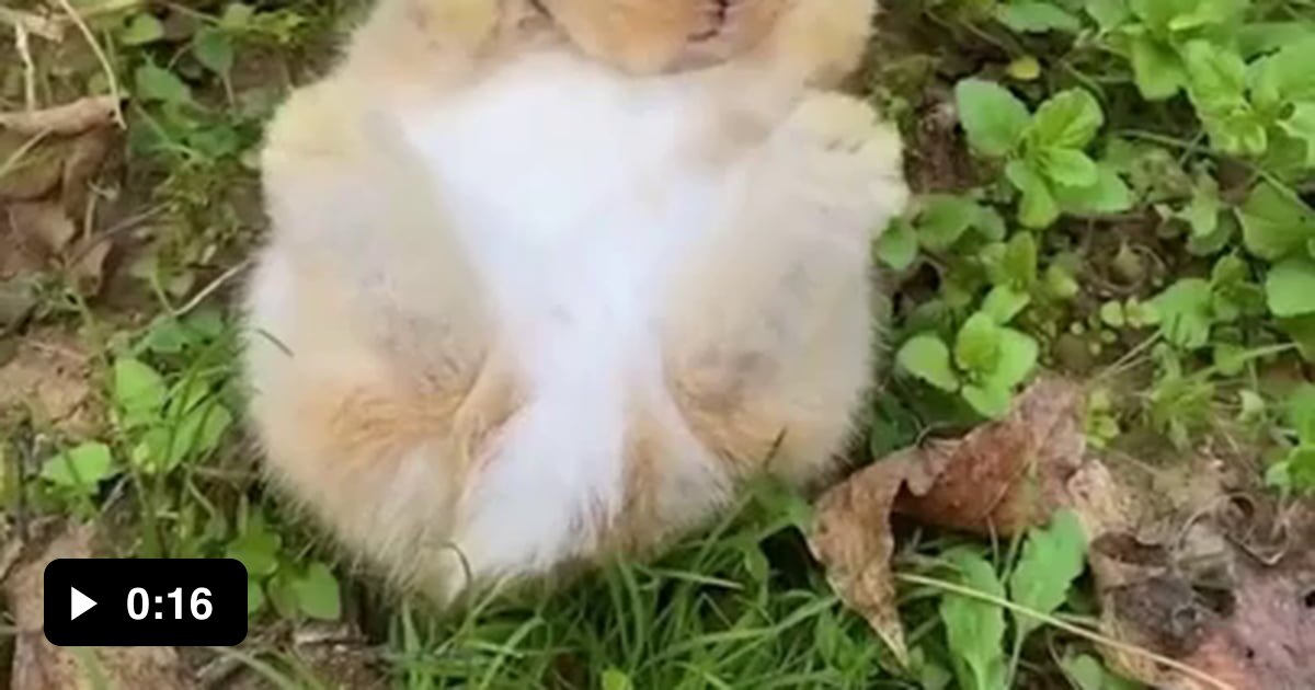 Try and Catch - 9GAG