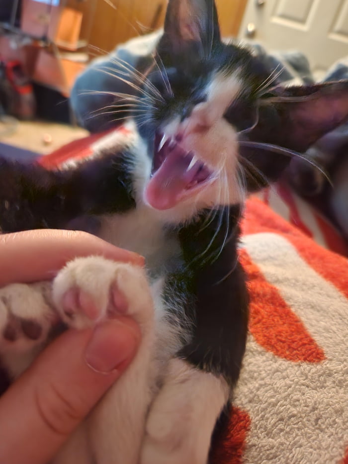 "STAP TOUCHING MA BEANS!" - 9GAG