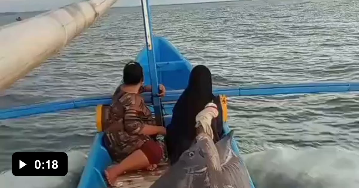 Great catch for small boat - 9GAG
