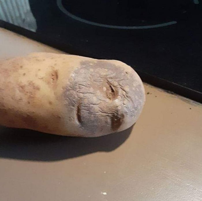 This potato. - 9GAG