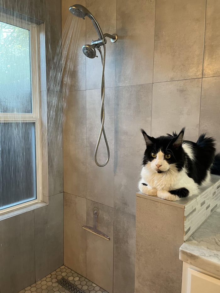 Lifeguard Murphy - 9GAG