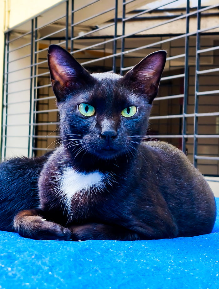 The eyes chico.... - 9GAG