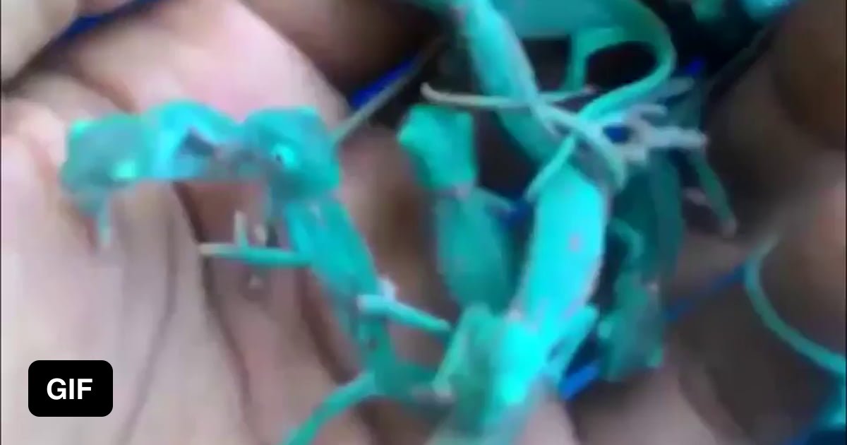 Something borrowed, something blue - 9GAG