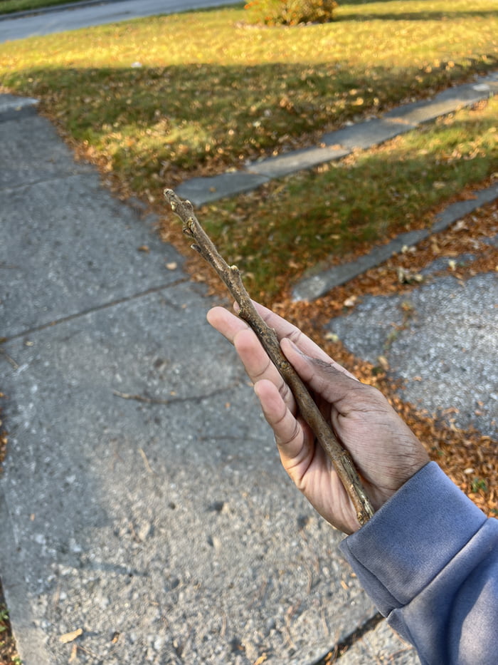 Not much but honest work - 9GAG