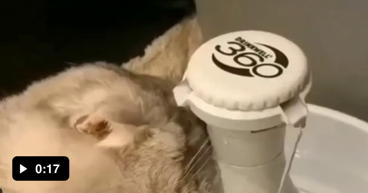 90s pop star crying in the shower for her music video - 9GAG