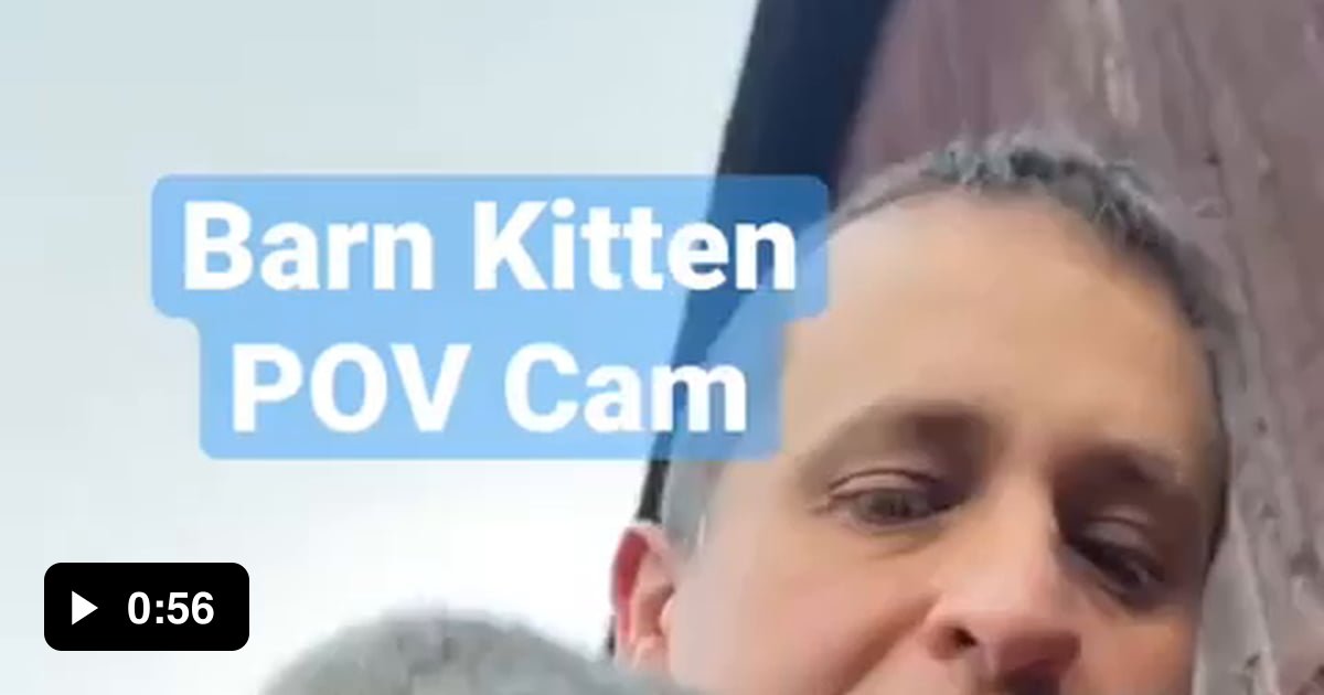POV_ you're a barn cat - 9GAG
