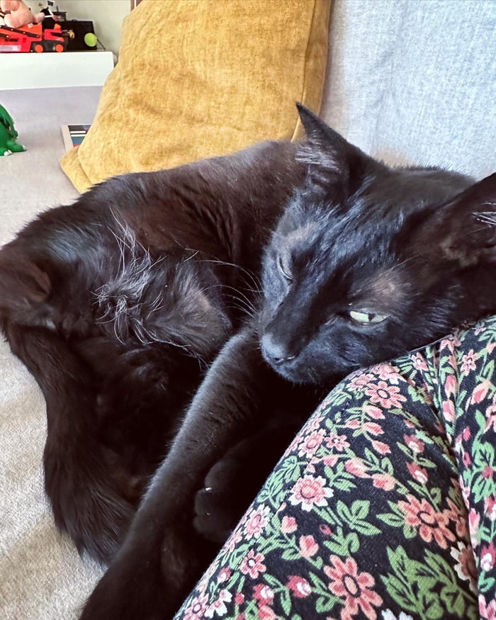 Those warm October hugs! - 9GAG