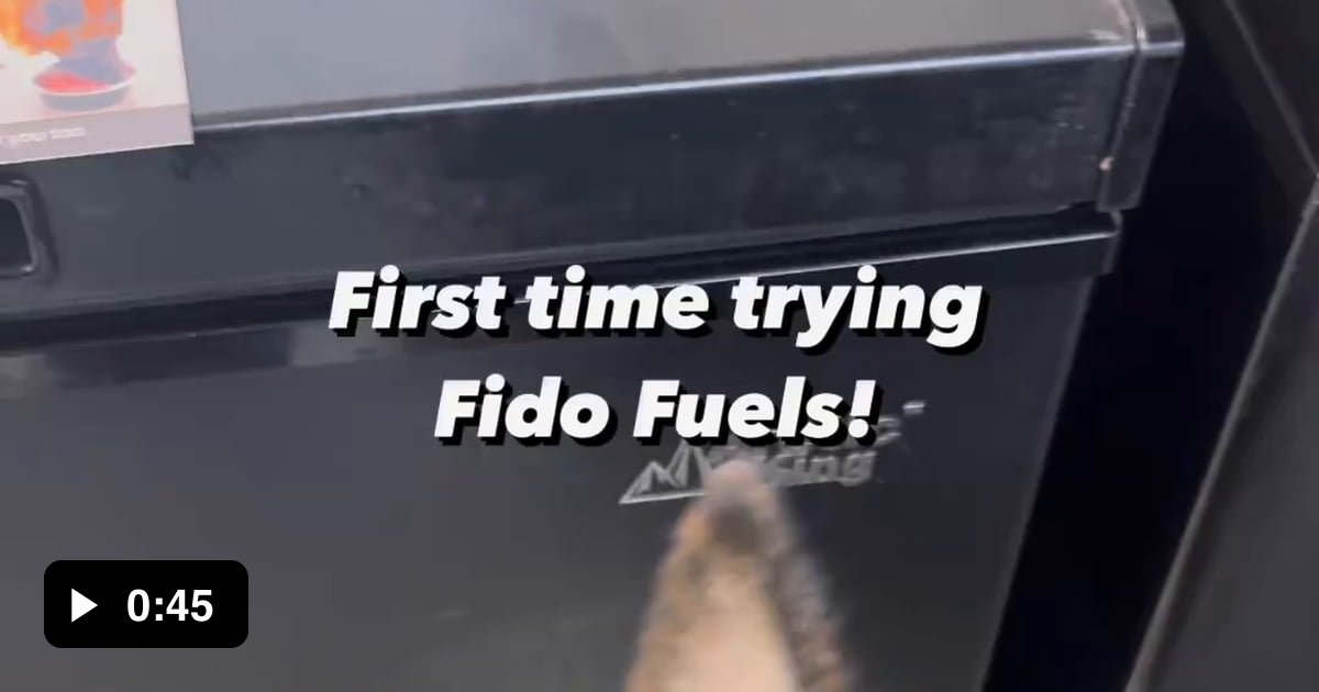 Thor & Khali’s first taste test of their new Fido Fuels premade raw ...