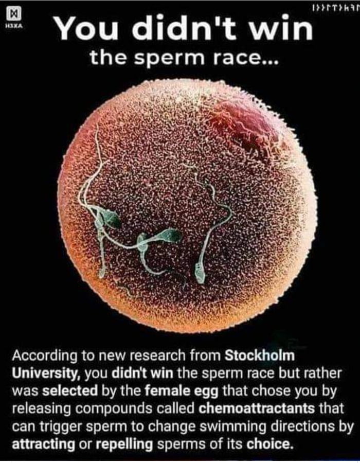 This means you chose to be dumb and ugly by choice early in life, it's ...