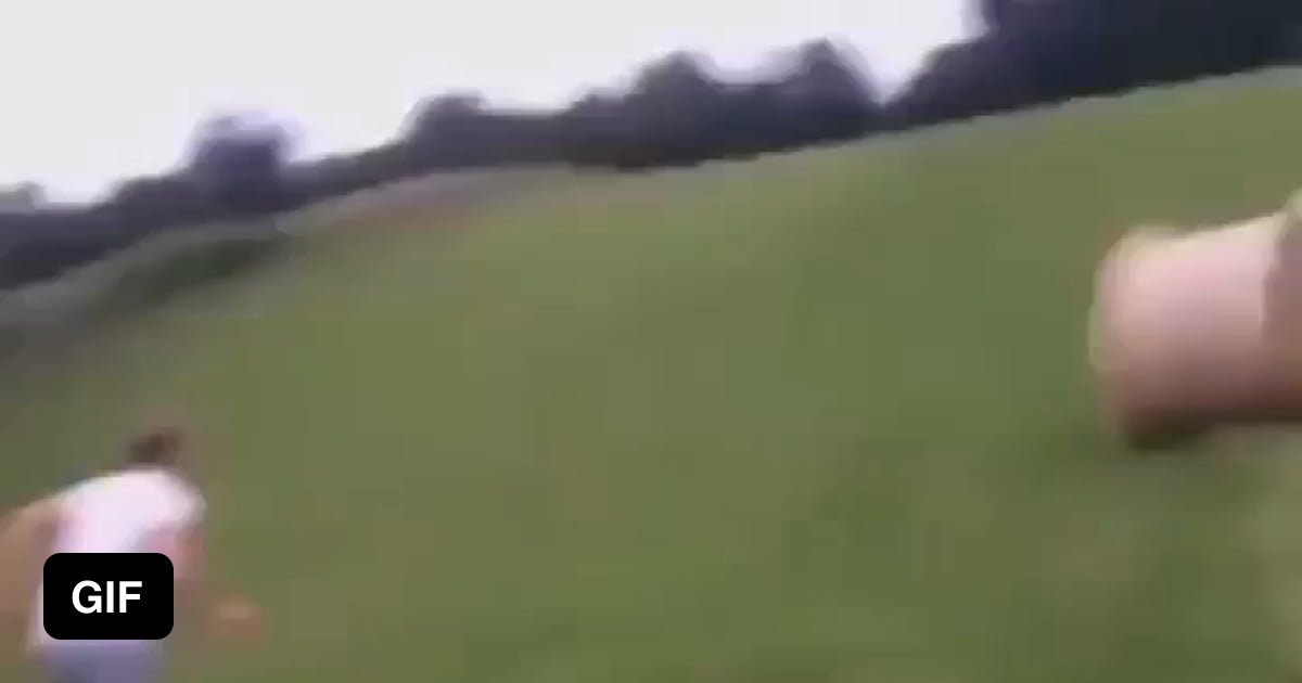 Trying to jump over a rolling hay bale. - 9GAG