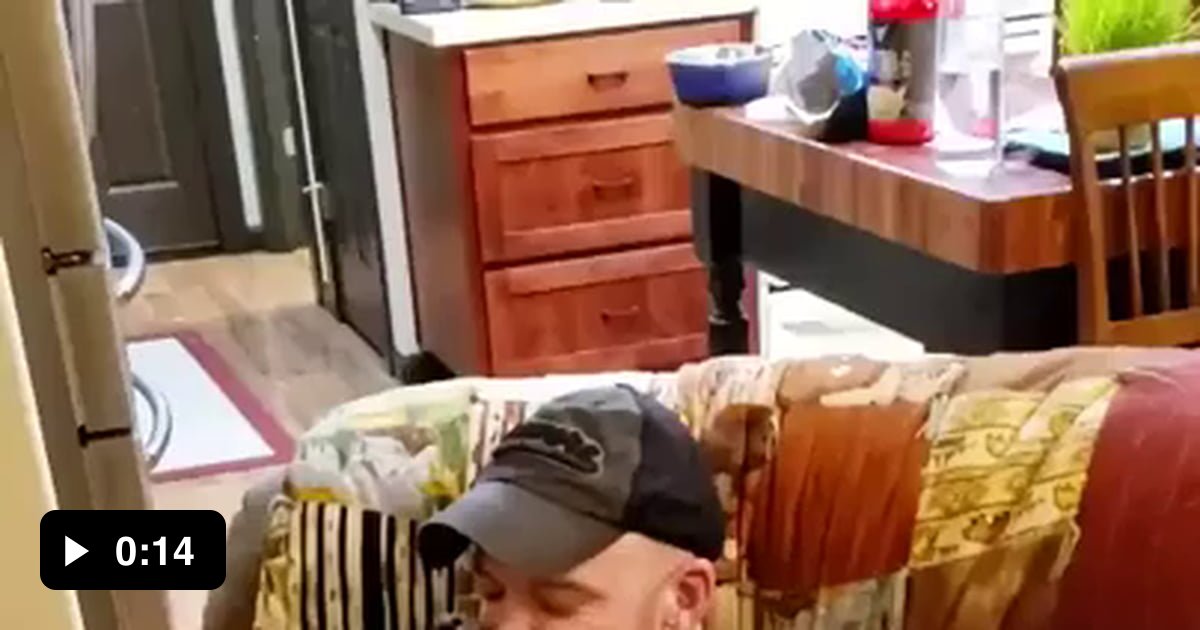 Amazing Belly Rubs Tippy Taps - 9GAG