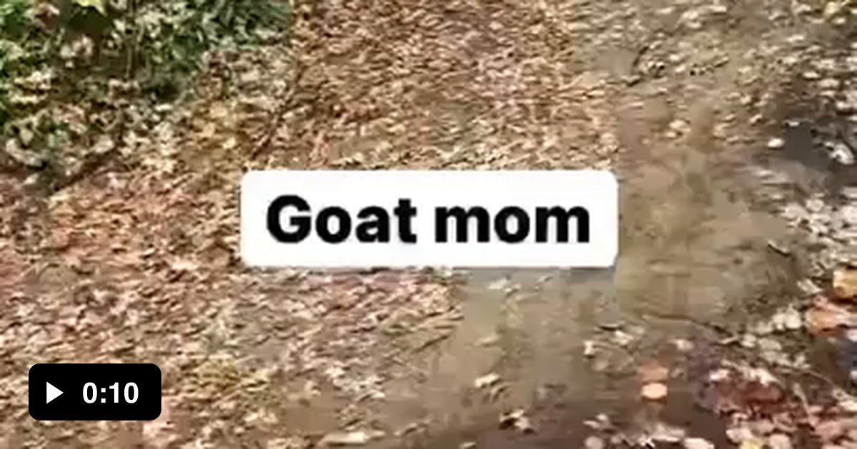 Keep the camera rolling - 9GAG