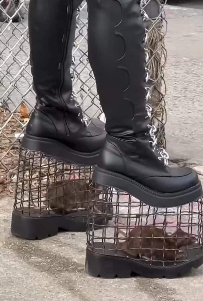 Live rats boots - 9GAG