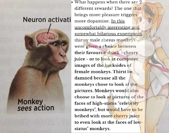 Horny monkeys - 9GAG