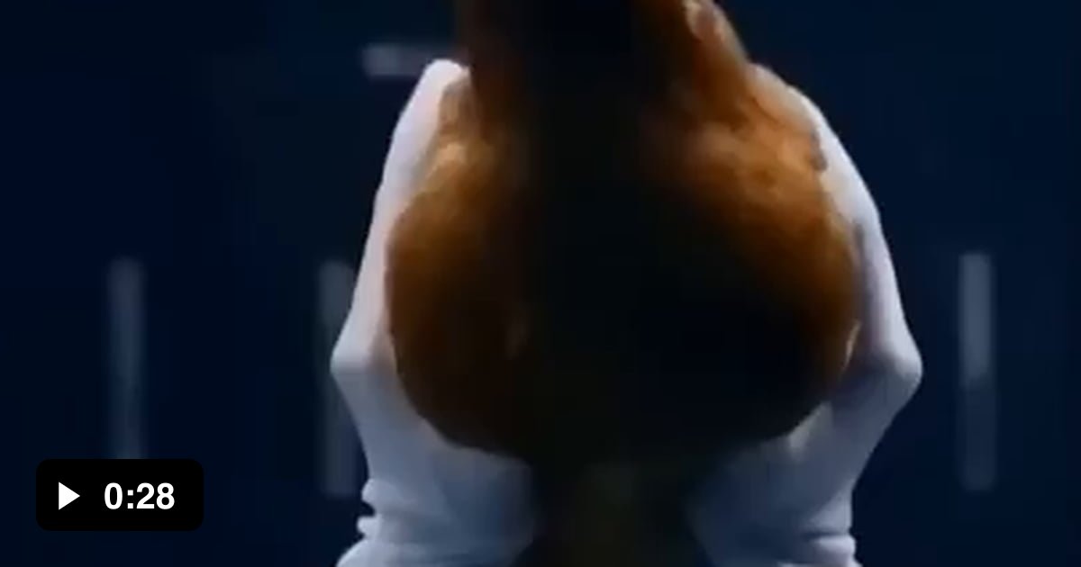 The moment you put a camera on a chicken it becomes parody - no matter how sincere your ...