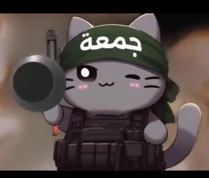 Commander Kitty - 9GAG