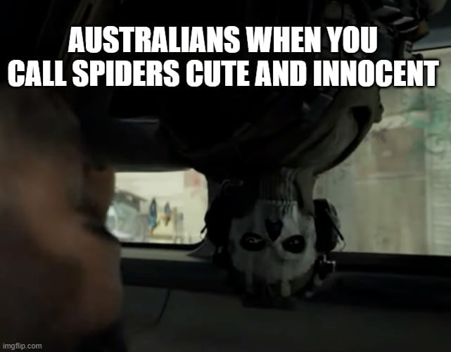 Spiders are cute and innocent - 9GAG