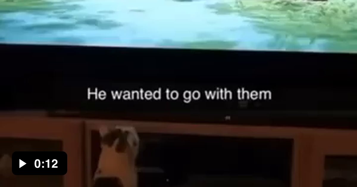 Hey, wait for me! - 9GAG