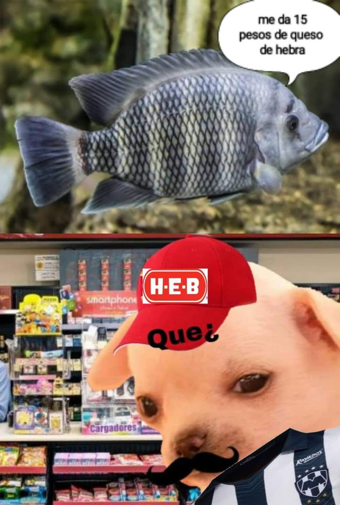 Primer día de una mojarra en Monterrey. - 9GAG