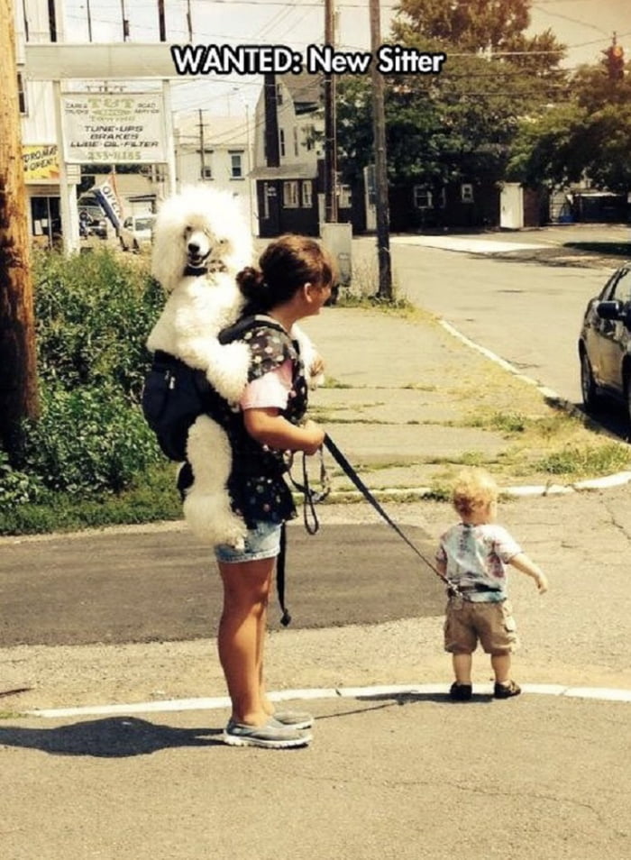 All reasonable tenders will be considered… - 9GAG