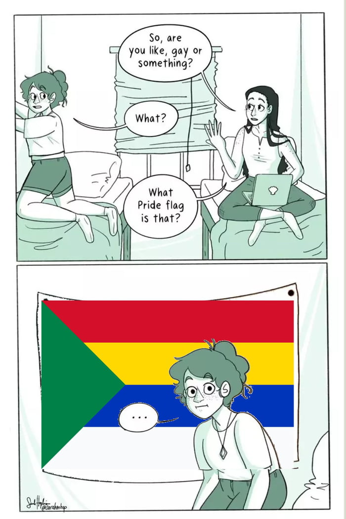 What pride flag? - 9GAG