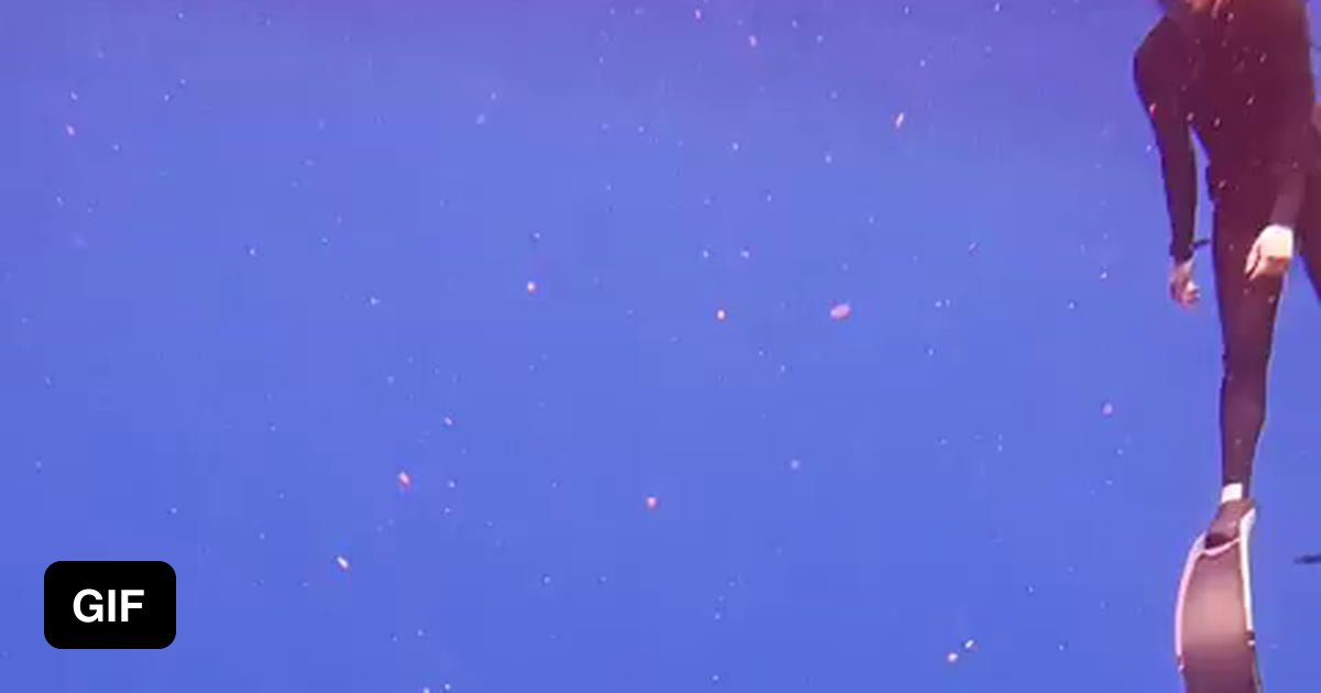 Get rotated you fk - 9GAG