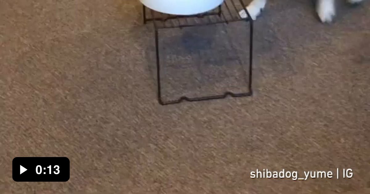 *intensive tippy tapping* - 9GAG