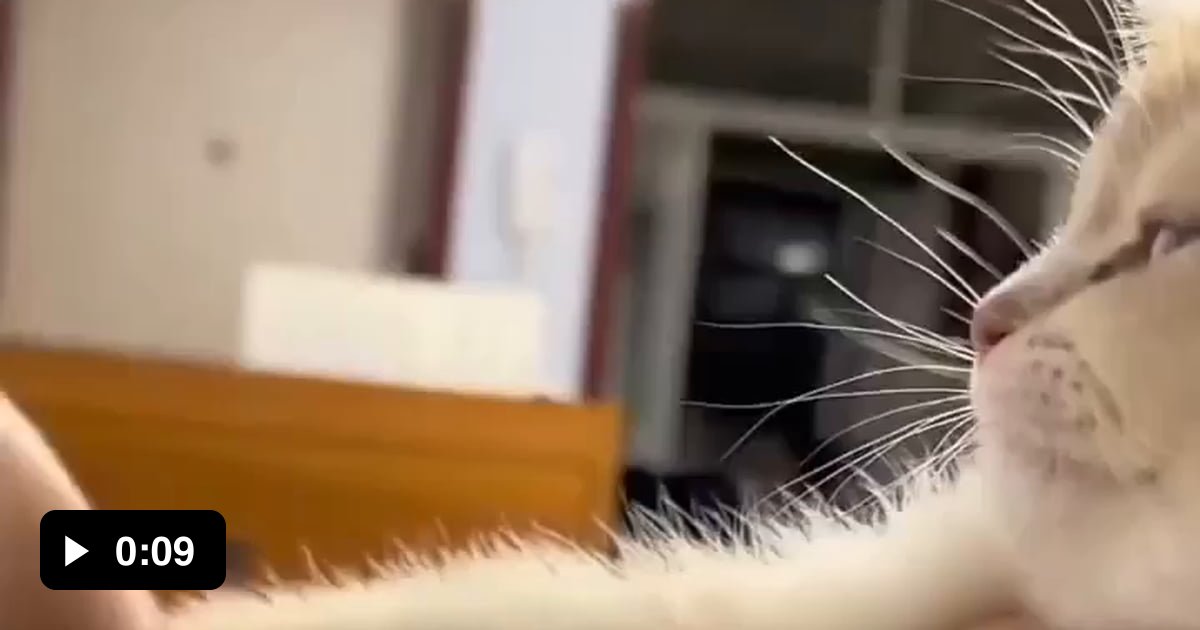 He is so damn adorable - 9GAG