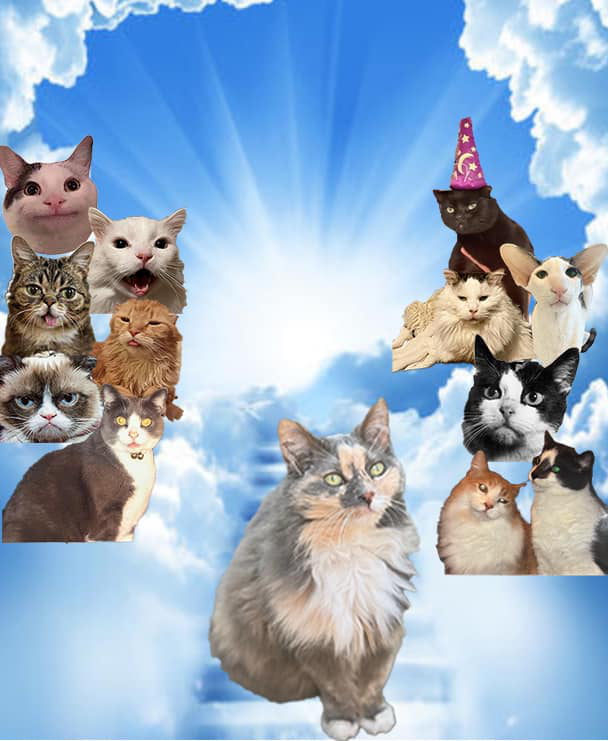 Had to put my buddy down this past Monday...my daughter made this for ...