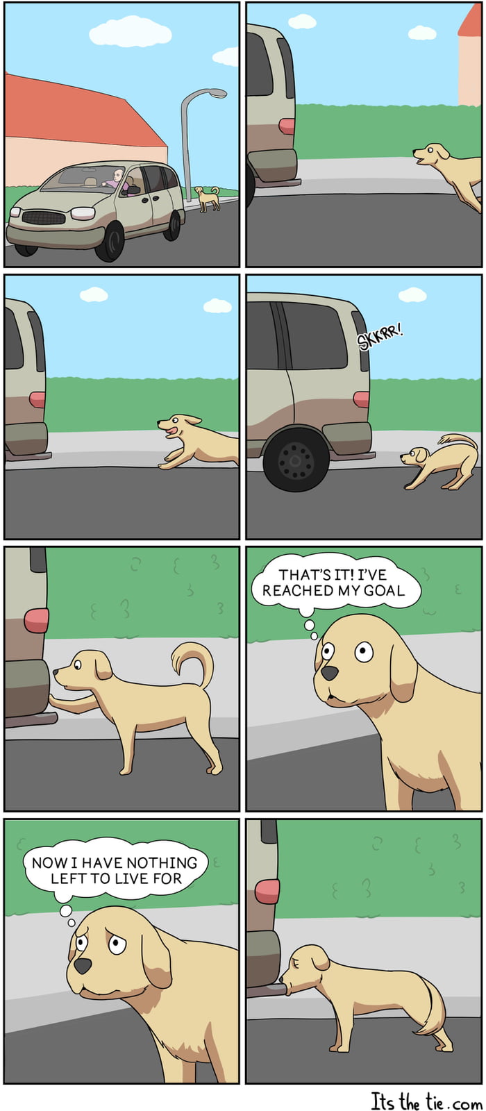 Chasing cars every day - 9GAG