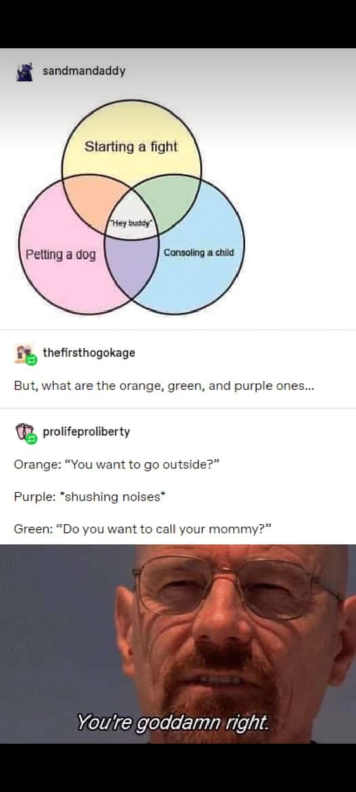 Shhh hey buddy, you want to go outside and call your mommy? - 9GAG