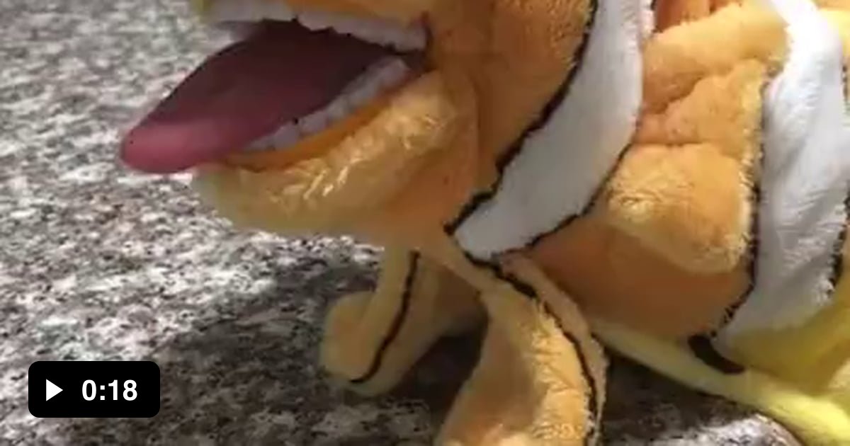 Random shit #16 - 9GAG