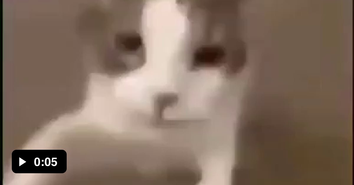 Hope You re Doing Fine Today 9GAG