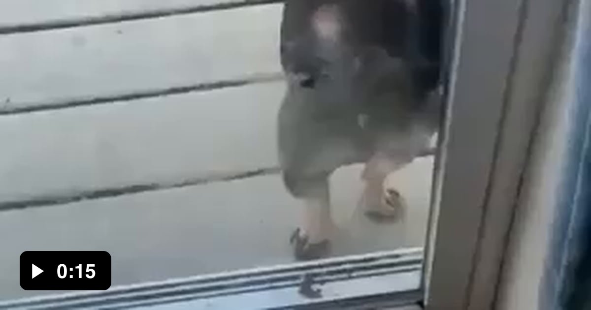 Move your body - 9GAG