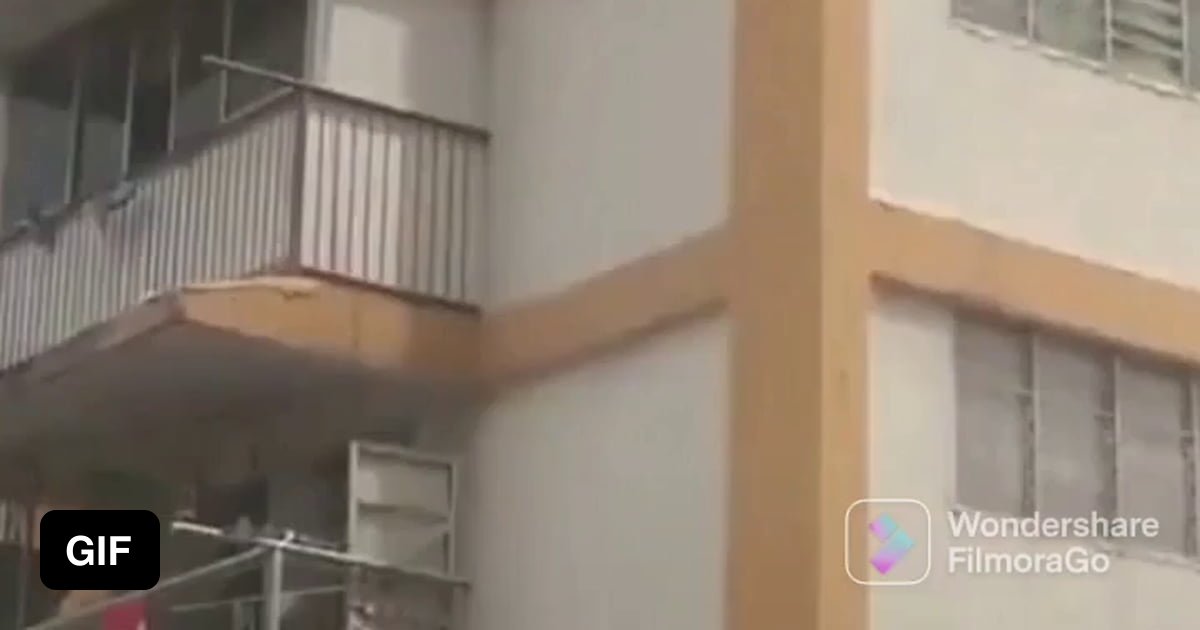 Cat falling from tall building - 9GAG