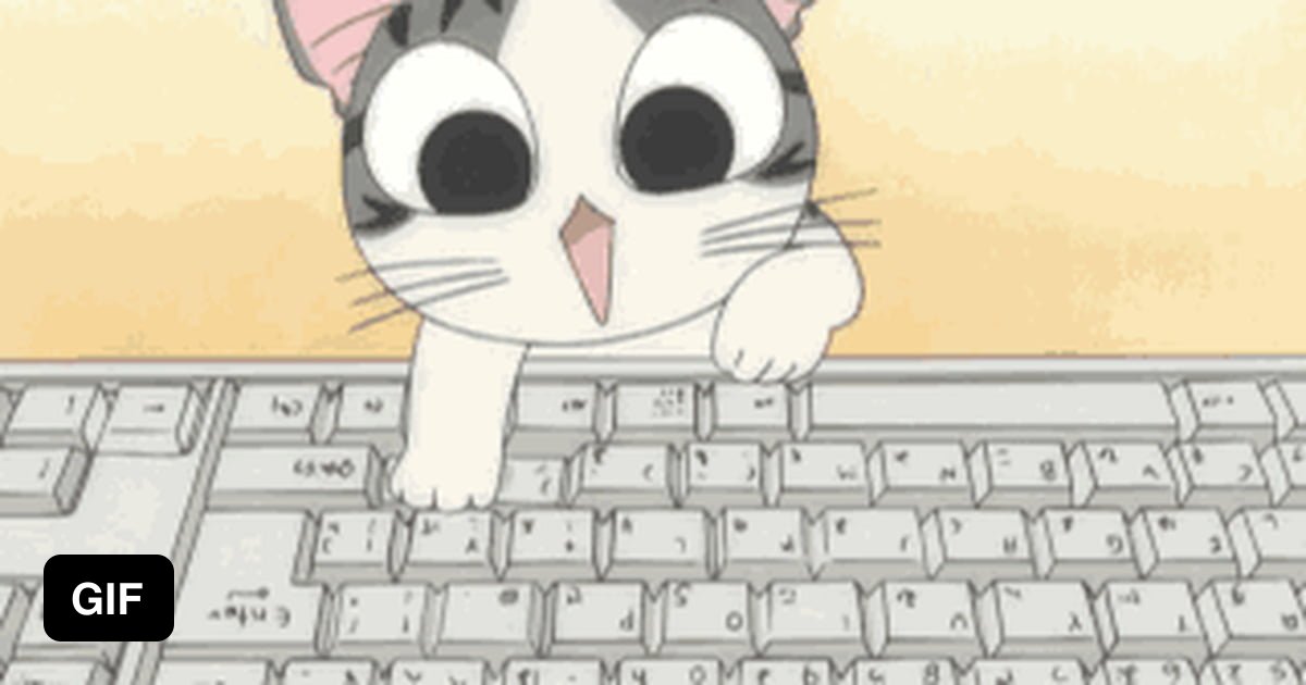 Cat hitting keyboard - 9GAG